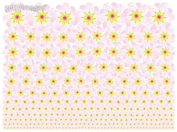 Cherry blossom (SAKURA) flower head illustration border pattern that ...