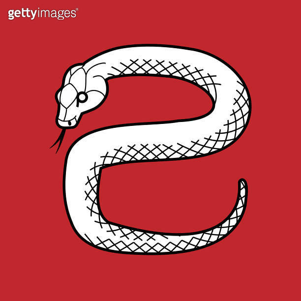 2025 Year of the snake design element - The snake resembling the ...