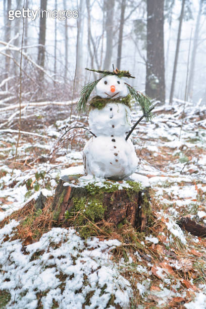 Snowman on a tree stump with carrot, buttons, branches, pine needles as ...