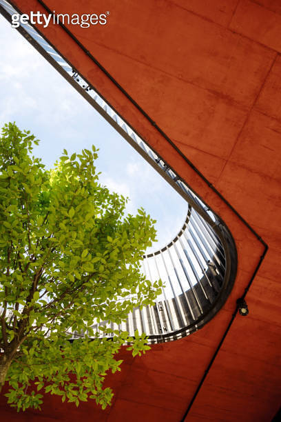 Tree through an open skylight in modern building 이미지 (2161803674) - 게티이미지뱅크