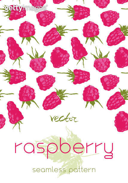 Template raspberry flyer design. Vector berry banner with drawings of ...