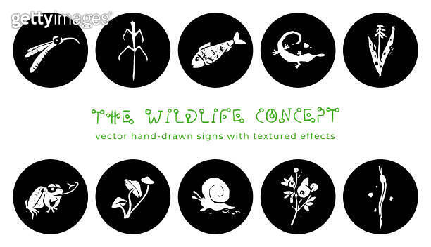 wildlife signs 4Vector wildlife signs. Hand drawn illustration of ...