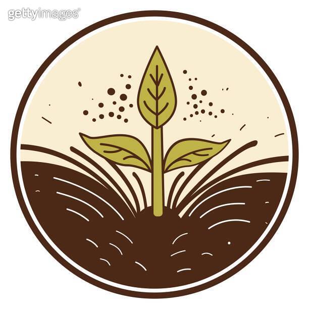 The logo of the seed brand. A young sprout from the ground., a sprout ...