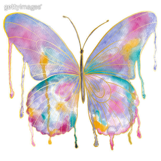 Hand-drawn butterfly. Modern creative design watercolor texture. Vector ...
