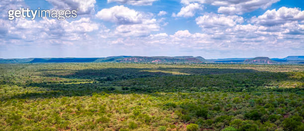 aerial view of typical african landscape, bushveld with acacia trees ...
