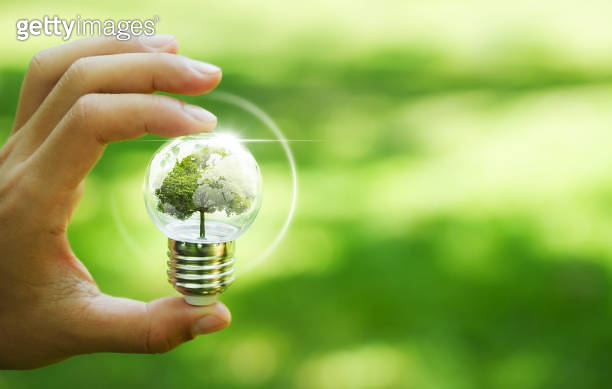 Light bulb in hand with plant inside green background Protect the ...