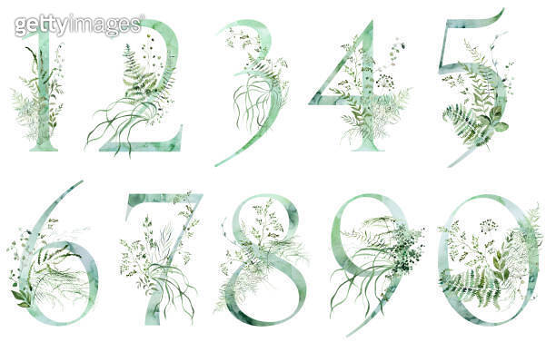 Green numbers with Watercolor whimsical tender leaves isolated ...