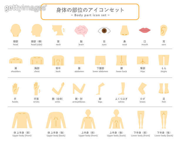 Set of icons and pictograms of human body parts (2039943820) - 게티이미지뱅크