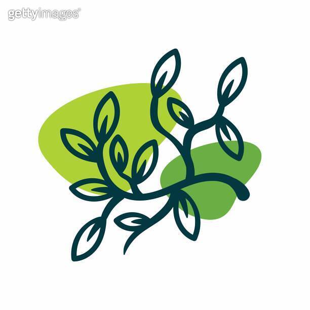 Leaves design elements - Vector illustration leaf shapes in green ...