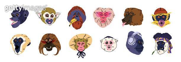 Cute monkey avatars set. Primate faces for user profile. Head portraits ...