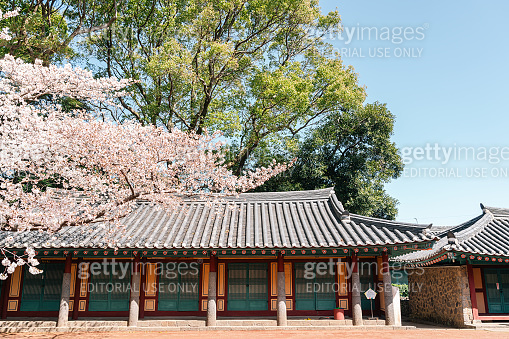 Samseonghyeol traditional architecture with spring cherry blossoms in ...