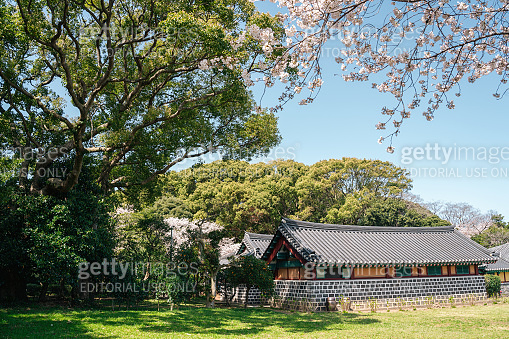 Samseonghyeol traditional architecture with spring cherry blossoms in ...