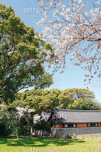 Samseonghyeol traditional architecture with spring cherry blossoms in ...