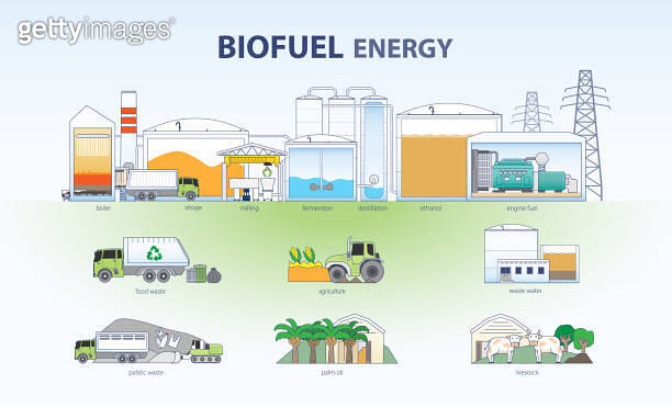 Revolutionizing Renewable Energy, The Power of Biofuel, Biofuel Energy ...