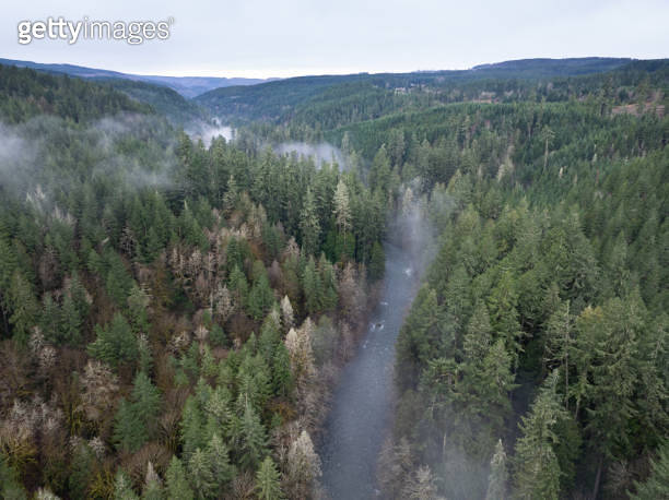 Aerial View of Scenic River Flowing Through Forest in Oregon 이미지 ...