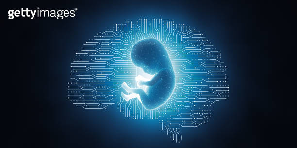 Digital Human Embryo Concept 이미지 (2155818455) - 게티이미지뱅크
