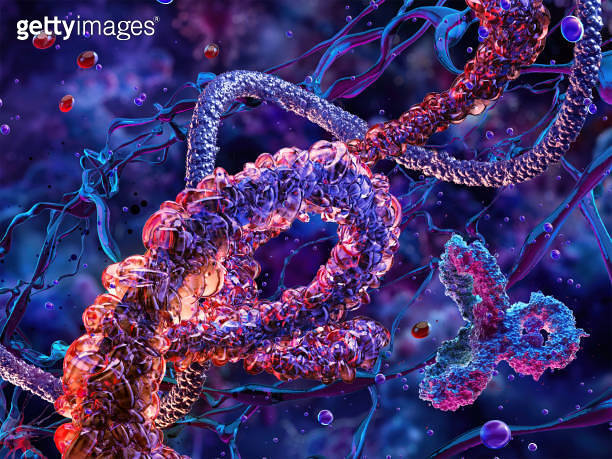 3D protein molecules structure formed by amino acids and peptides ...