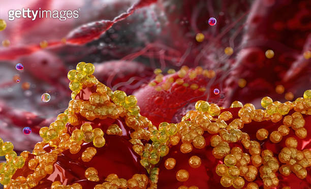 Staphylococcus bacteria, gram-positive cocci cells, grape-like clusters ...