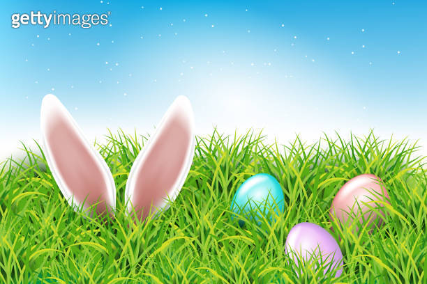 Colorful Easter eggs and rabbit ears sticking out of the grass. Spring ...