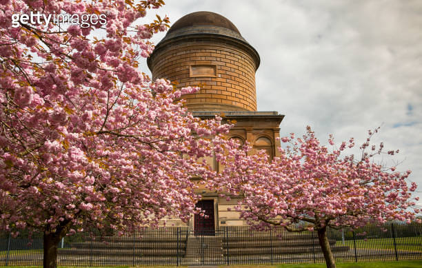 Spring time blossom surrounding Hamilton Mausoleum. 이미지 (2151007909 ...