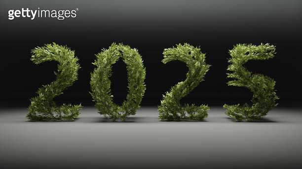 2025 natural flyer for upcoming new year as 3D illustration 이미지 ...