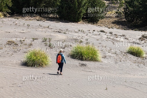 Tourist walks in Palmira desert in Ecuadorian Andes 이미지 (2148189506 ...