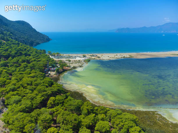 Loggerhead turtle spawning site Iztuzu Beach. It is known for its blue ...
