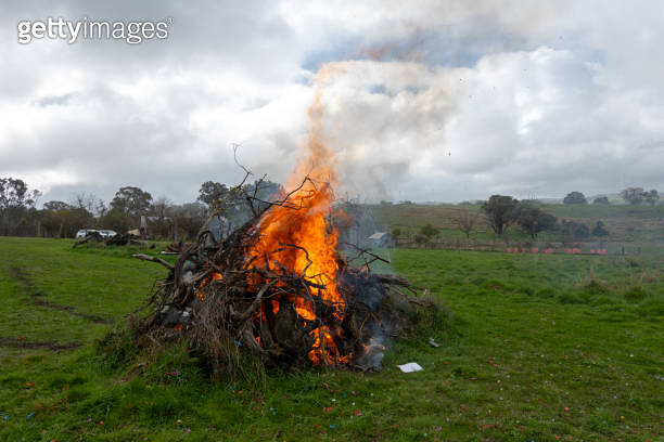 A large bonfire in flames in the middle of a paddock on a clear, sunny ...
