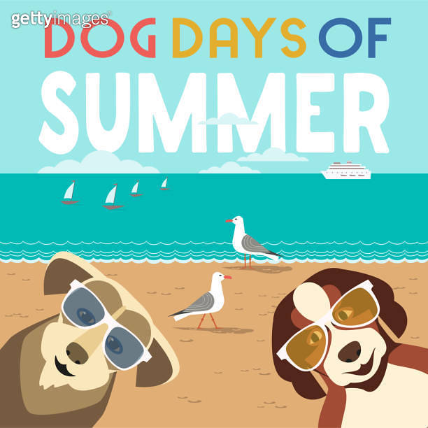 Dog days of summer on sea beach cute vector poster 이미지 (2152488619 ...