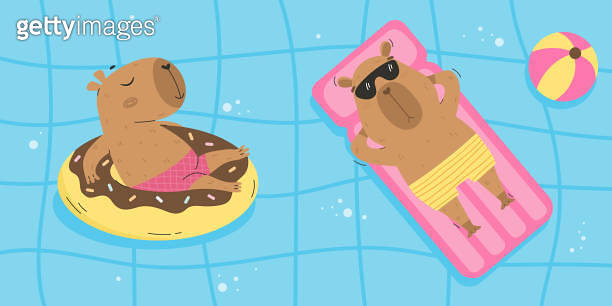 Funny capybaras floating on inflatable rings and air mattresses in blue ...