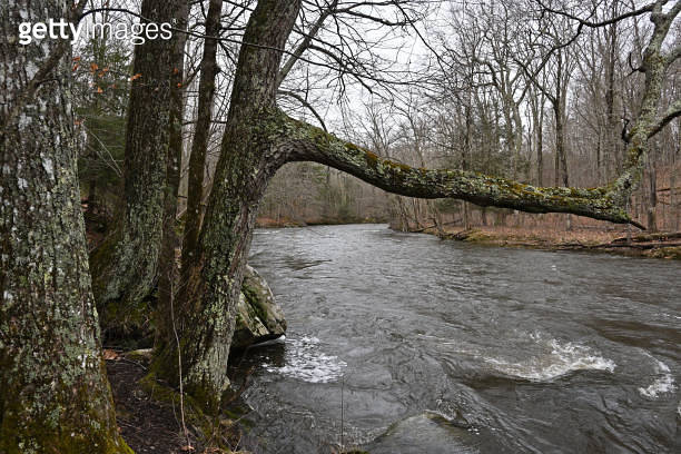 Bantam River landscape in Washington, Connecticut, after winter rain ...