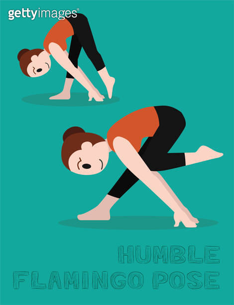 Yoga Humble Flamingo Pose Vineeta Rajahamsasana Cartoon Vector ...