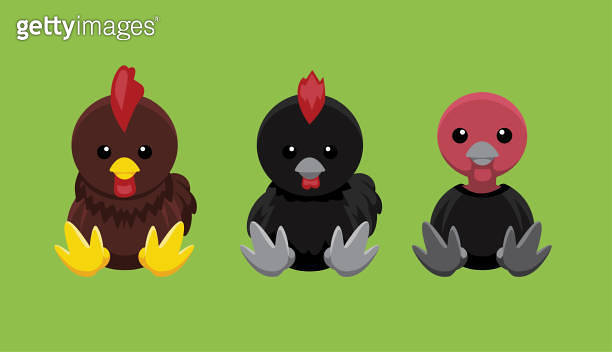 Doll Chicken Rhode Island Red Australorp Turken Farm Animal Cute ...