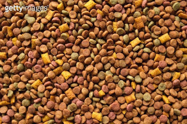 Pet Food Texture. Lot of Dry Granules of Crunchy Dog or Cat Food ...