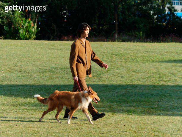 Portrait of a handsome Chinese young man walking with his rough collie ...