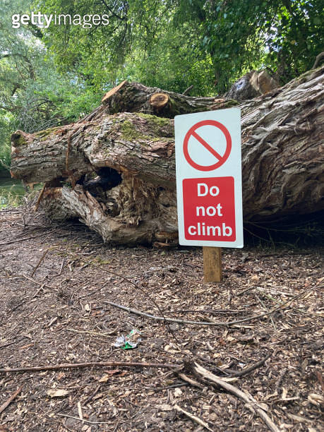 Red sign warning Do Not Climb - in front of a huge fallen tree trunk ...