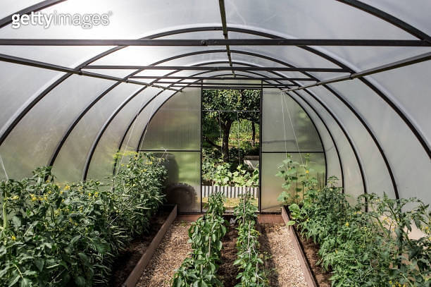 A new greenhouse made of polyethylene and polycarbonate with new beds ...