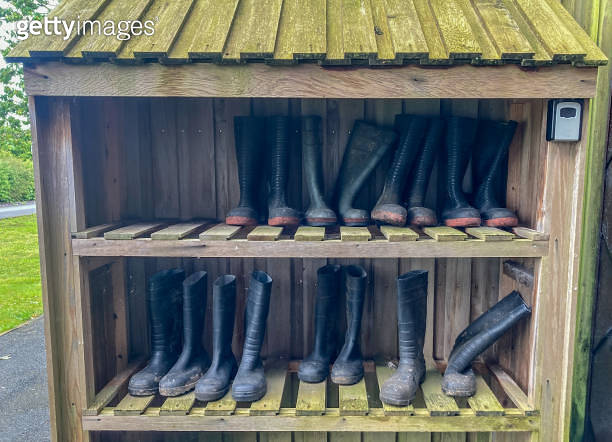 Rows of Wellington boats or Wellies stacked on a timber outdoor ...
