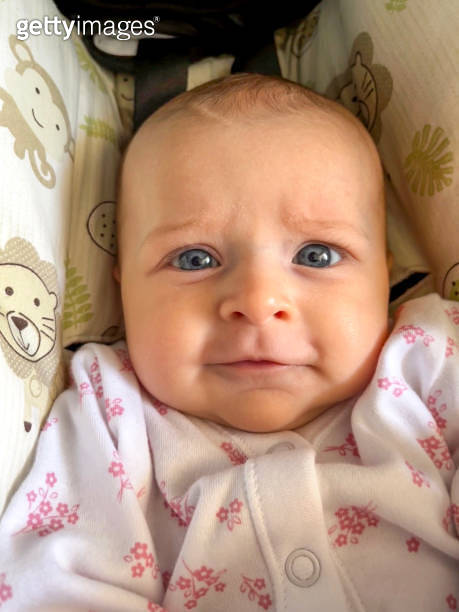 Two month old baby girl portrait 이미지 (2134547825) - 게티이미지뱅크