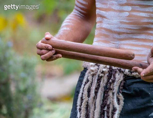 Australian aboriginal ceremony, human hand holds ritual clapsticks for ...