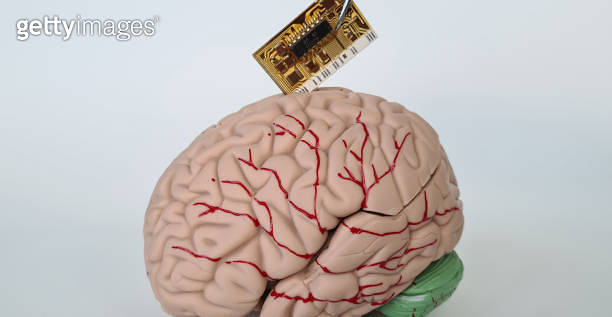 Person use tweezer tool to put tiny computer chip detail in human brain ...