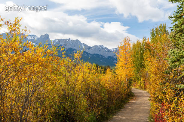 Spring Creek, Policeman Creek Boardwalk Trail in fall season. Canmore ...