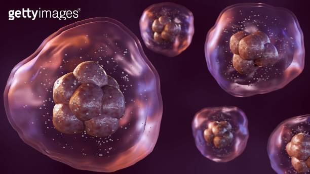 3d rendering of a microscopic view of multiple cells (2170784178) 일러스트 ...