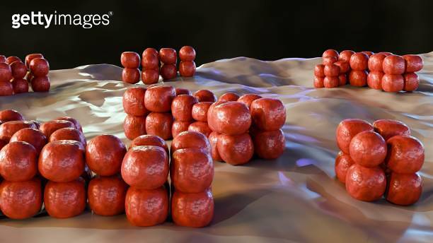 3d rendering of Sarcina with tetrad characteristic morphology 이미지 ...