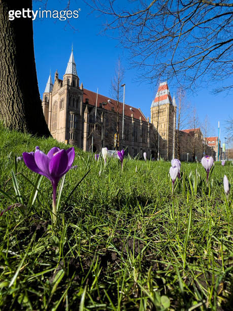 Springtime at The University of Manchester 이미지 (2055517098) - 게티이미지뱅크