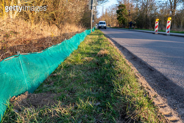 Toad fence next to a road to protect migrating amphibians 이미지 ...