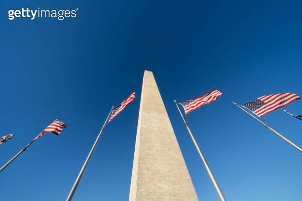 Several American flags and the Washington Monument, looking up ...