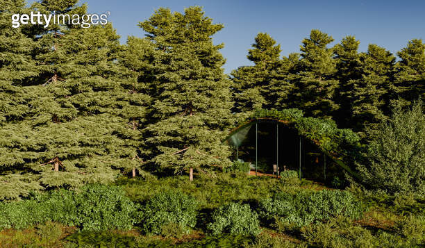 Futuristic green-roofed architecture in the forest. Eco-friendly ...