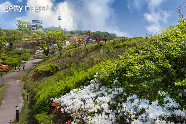 Namsan Park in spring It's daytime and there's Namsan Mountain in the ...