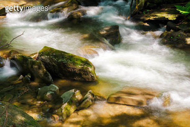 closeup of a small rapid brook among mossy rocks in dappled light 이미지 ...